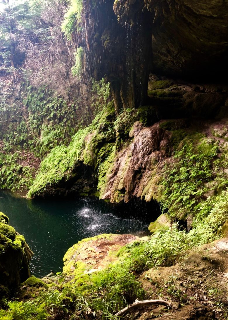 Take A Hike in the Westcave Outdoor Discovery Center – Junior League of ...
